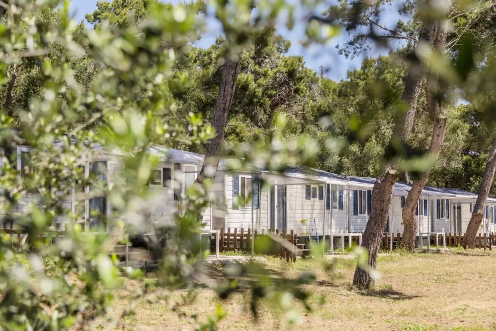 Camping La Scogliera Santa Cesarea Terme
